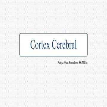 2. Cortex Cerebral.pptx