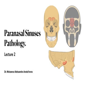 2. Sinuses Pathology 21-22 (1).pdf