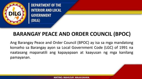 BRGY. 6 RESOLUTION NO. 30 Series of 2019 BARANGAY PEACE AND ORDER ...