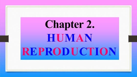 Human Reproduction Pptx Class Xii Biology Ppt