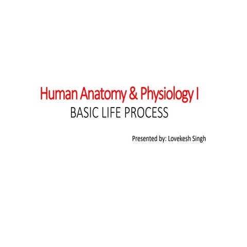 2. Basic Life Process.ppt