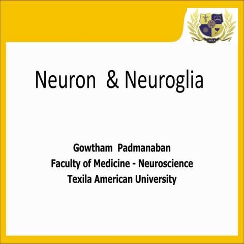 2. Neuron Neuroglia (1).ppt