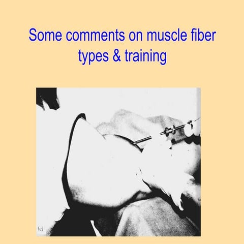 Muscle fibre types | PPT