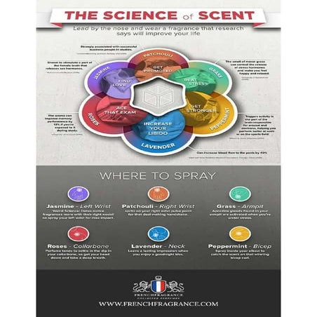 Perfume Application Precision: A Pulse Point Guide | PDF