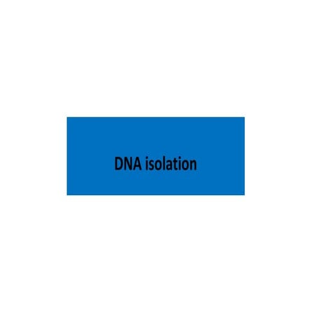 DNA isolation | PDF | Chemistry | Science