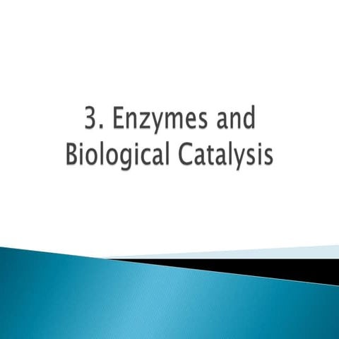 brief description on enzymes and biological catalysis | PPT