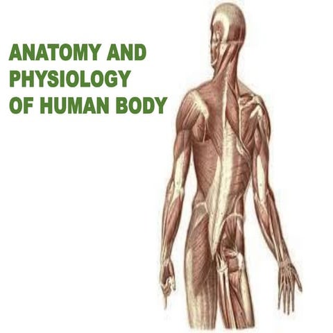 2.-ANATOMY-AND-PHYSIOLOGY-OF-HUMAN-BODY.rtf-1.pdf