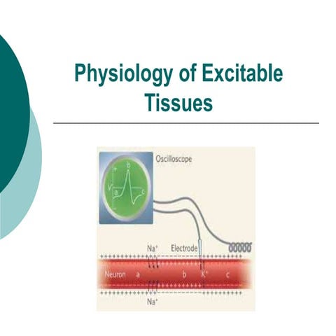 Excitable tissue Physiology | PPTX