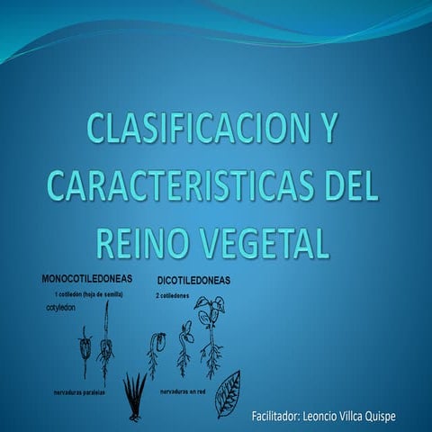 Cuadro De Clasificación Del Reino Vegetal