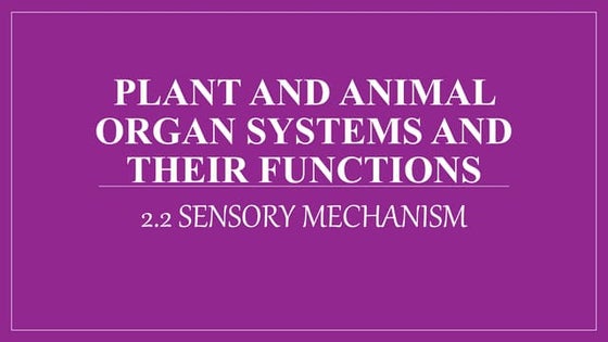 Nervous_System.pptx poultry physiology.. | PPT