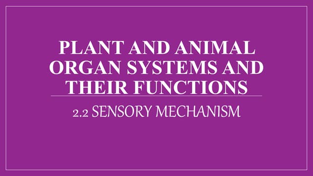 SENSE ORGANS | PPT