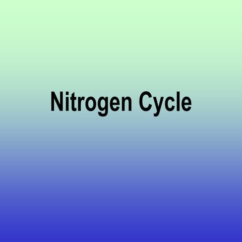 .Nitrogen Cycle.ppt how the nitrogen are fixed in soil | PPT