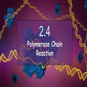 2.4 DNA amplification using polymerase chain reaction.pptx