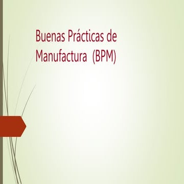 2.- Buenas Prácticas de Manufactura (BPM).pptx
