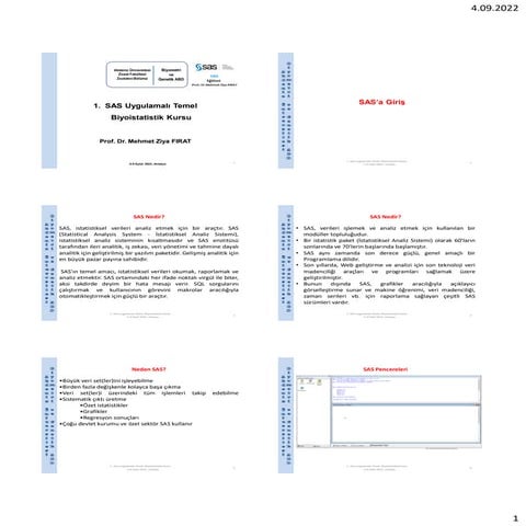 Statistical Analysis Using SAS Package Program | PDF