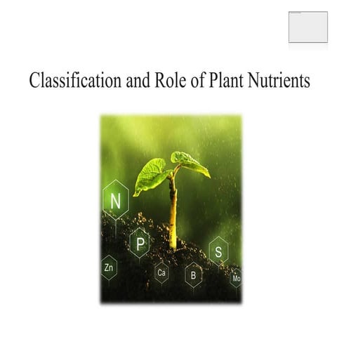 Classification and role of plant nutrients - Roxana Madjar | PDF