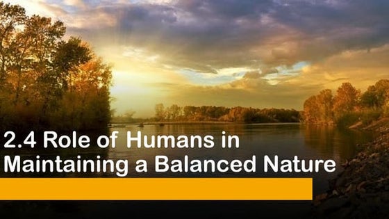 2.4 Role Of Humans In Maintaining A Balanced Nature.pptx