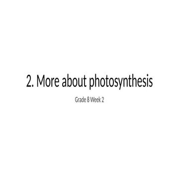 More About Photosynthesis Pptx A Look At The Transverse Section Of A Leaf Ppt