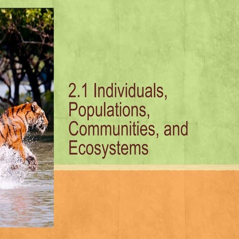 _2.1_individuals_populations_communities_and_ecosystems.pptx