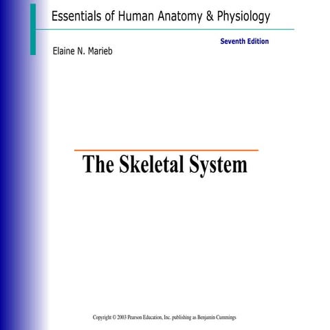 2.-Skeletal-System human anatomyand.pptx