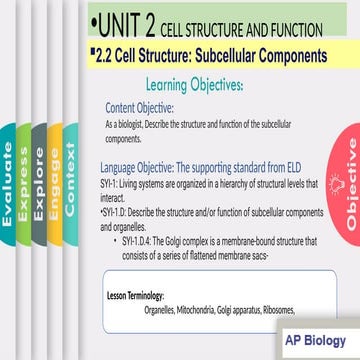2.2 POWERPOINT AP BIO for grade 10,11 or 12 | PPTX | Biological ...