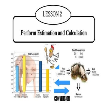 2. Perform Calculation and Estimation.pptx