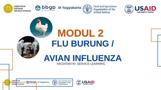 Workshop Modul Ajar P5 terintegrasi dalan zoonosis | PPT