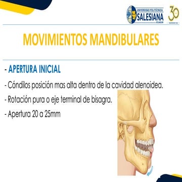 Los movimientos de la mandibula (mandibulares) | PPTX
