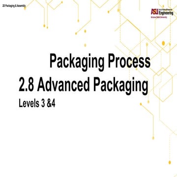 2.8 Advanced Packaging Levels 3 & 4.pdf
