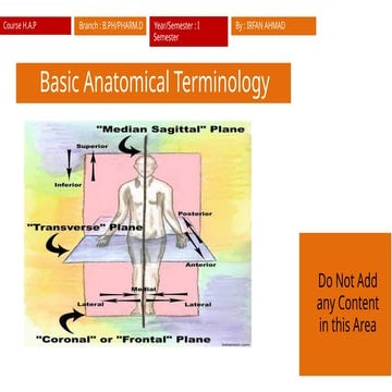 2. Basic Anatomical Terminology ppt .pptx