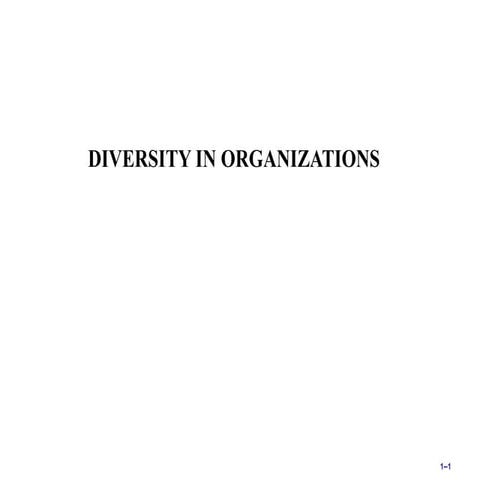 Diversity In Organizations, Chapter-2, Organizational Behavior | PDF