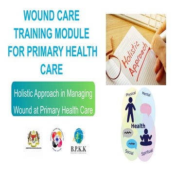 HOLISTIC APPROACH WOUND PREPARATION INFLAMED | PPTX