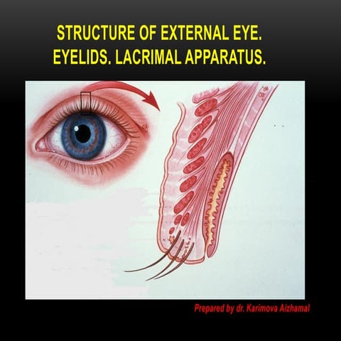 Structure of external eye , eyelid, lacrimal apparatus | PPTX