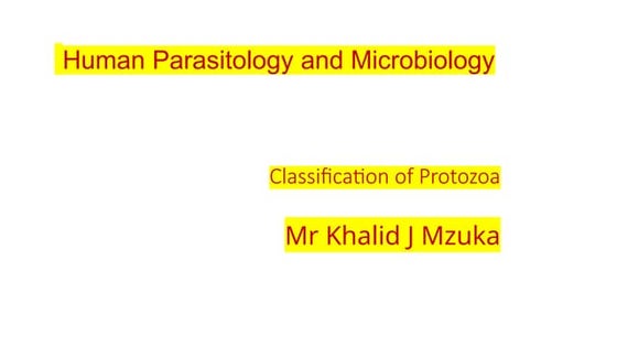 Classification Of Protozoa Lesson Explainer: Kingdom Protista | Nagwa