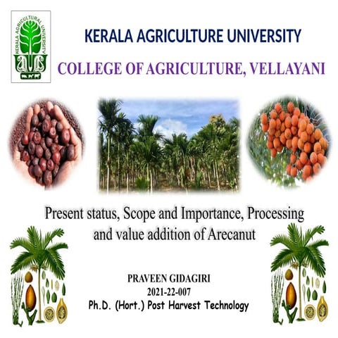 Areca nut Processing and Value Addition | PPTX