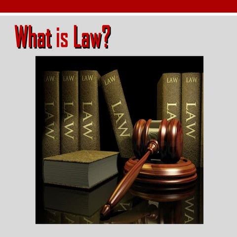 What is Law - Part 1 - The Origins of the US Law System | PPT