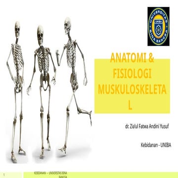 2. Anatomi Fisiologi Muskuloskeletal.pptx
