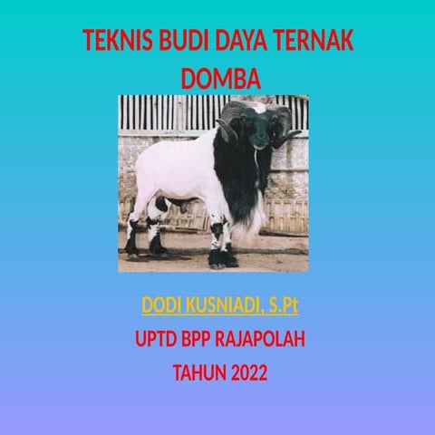 BUDI DAYA TERNAK DOMBA GARUT UNGGULPALING | PPTX