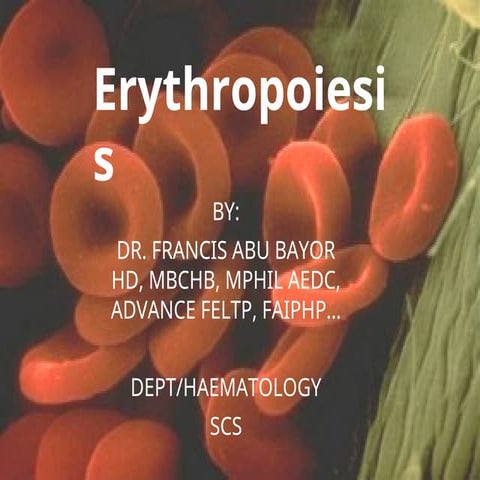Erythropoiesis | PPT