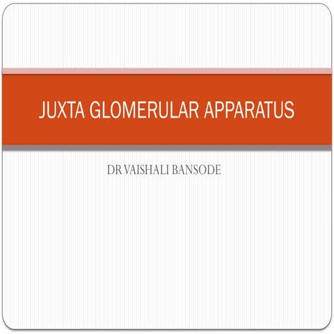 JUXTAGLOMERULAR APPARATUS physiology.pptx