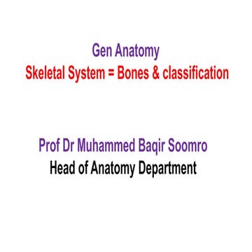 2. GA. 2025. Skeletal System Bones & Classification Sl=35 Dr Baqir (1).pptx