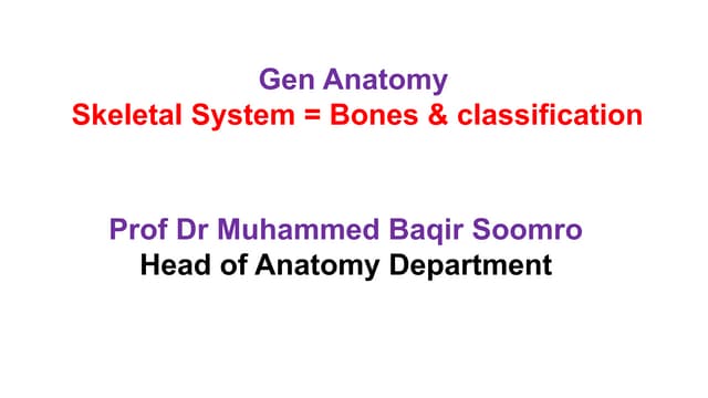 Classification of bones (anatomy) | PPT | Death, Injury, or Military ...