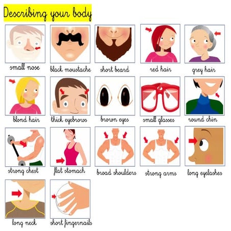 2. Describing your body- describiendo el cuerpo.pdf