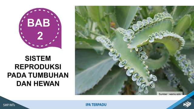 PPT Perkembangbiakan Tumbuhan dan Hewan.pptx