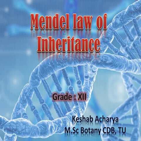 Grade 12 notes (_Mendel_law_of_Inheritance.pdf) | PPT