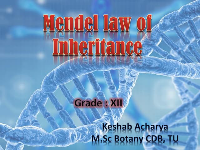 Mendelian Laws of Inheritance | PPT