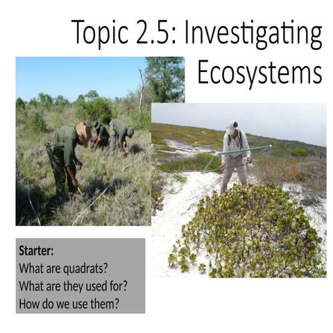 Different sampling techniques for insect population estimation | PDF