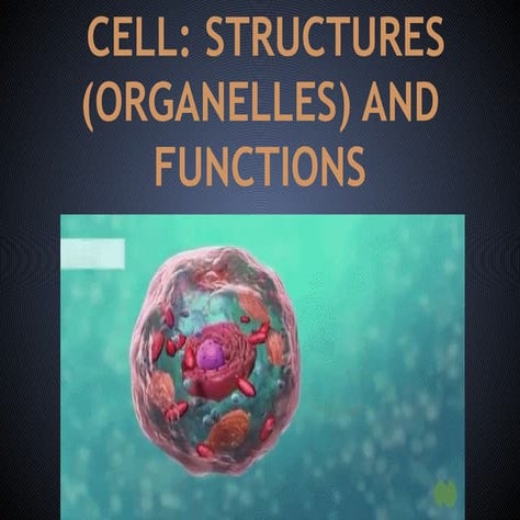 2. CELL ORGANELLES AND FUNCTIONS.pptx