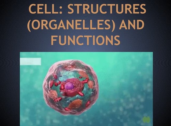 Cell Structure & Function | Cambridge IGCSE Biology | PDF