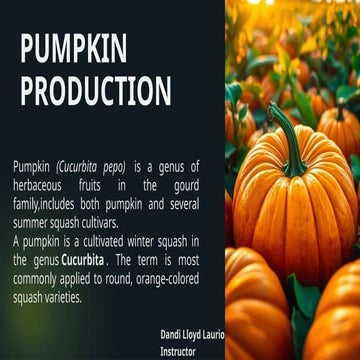 The Life Cycle of a Pumpkin | PPT